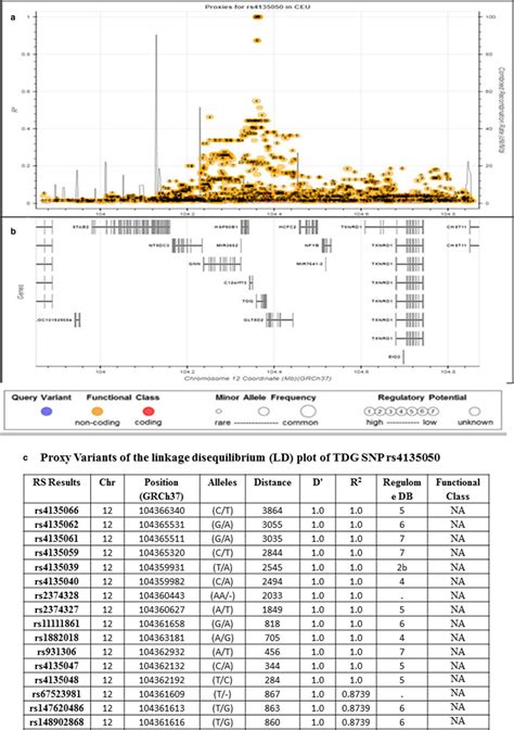 Linkage Disequilibrium Ld Plot Generated By Using Interactivity Download Scientific Diagram