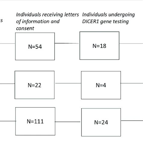 Schematic Representation Of The Method Used To Obtain Results