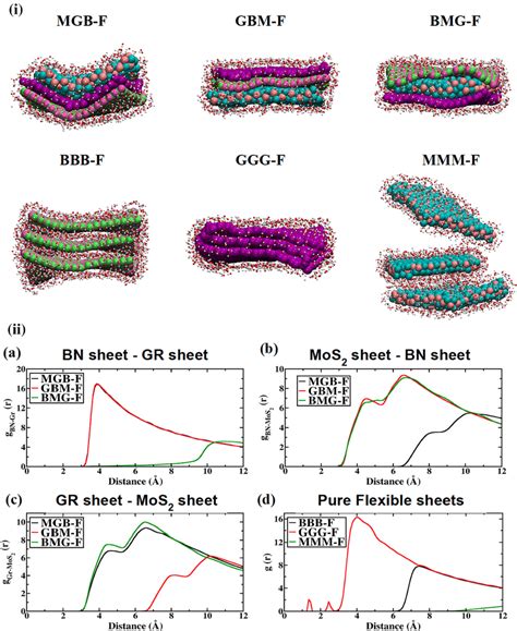 I Snapshots Of The Equilibrated Structures Of Flexible Hybrid And