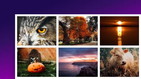 Make A Gallery From Selected Wordpress Images With Essential Grid Slider Revolution