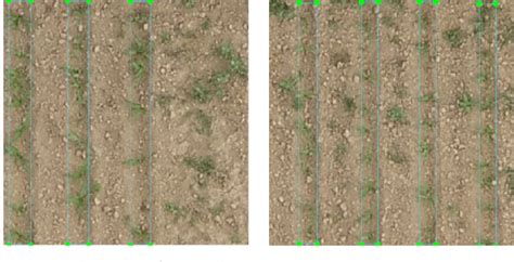 Figure 4 From Weed Detection In Maize Fields By Uav Images Based On Crop Row Preprocessing And