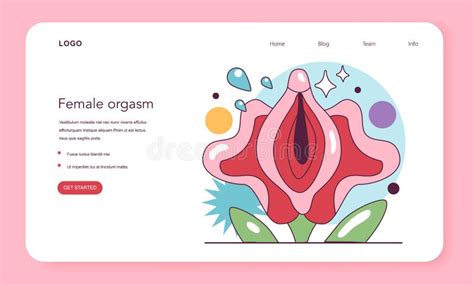 Women S Health Concept Female Intimate Hygiene And Reproductive Stock