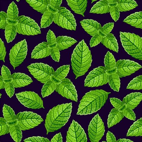 Premium Vector Vector Seamless Pattern With Fresh Mint Leaves