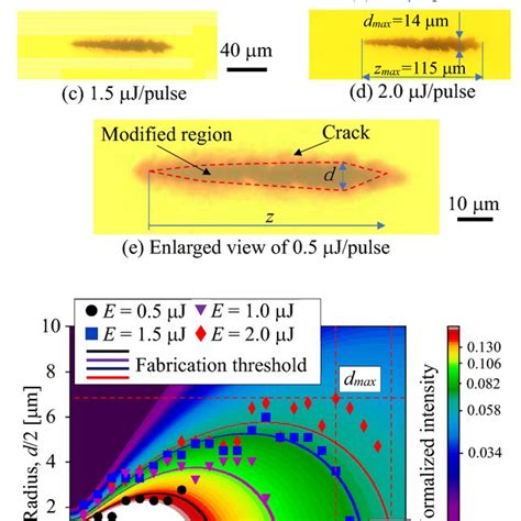 Micrographs Of Short Modified Regions And Relationship Between Diameter Download Scientific