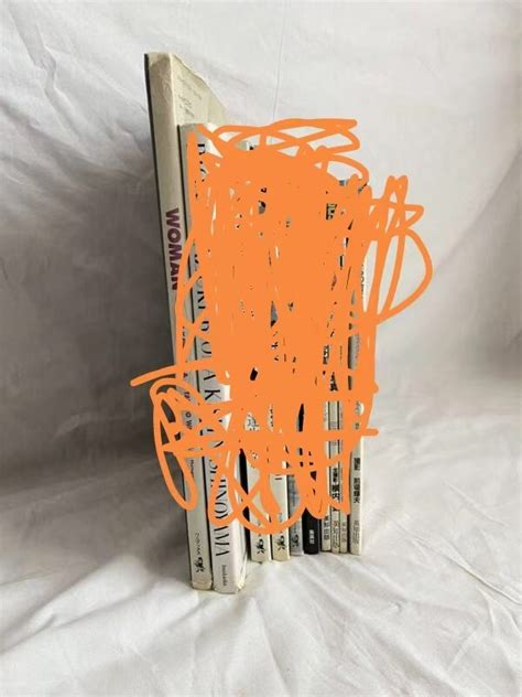 多本日本寫真集 宮澤理惠、葉月里緒菜奈、佳那晃子、樋口可南子、菅野美穂、大竹一重、川島直美、小澤夏木希、內田恵理子、高倉美貴、夕樹舞子 興趣及遊戲 書本 And 文具 雜誌