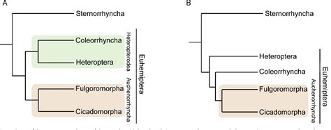 Figure 2 From Moss Bugs Shed Light On The Evolution Of Complex