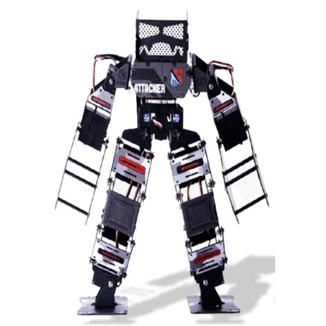 Fighting Robot Easy Diy Mart