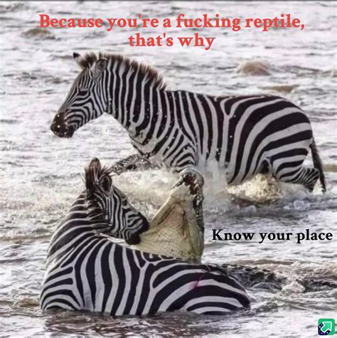 Trash Album On Imgur