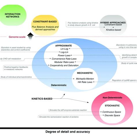Phenotype Prediction Approaches Interaction Networks Download Scientific Diagram
