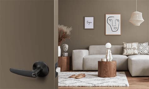 What Is The Difference Between Privacy Passage And Dummy Door Handles Miles Nelson