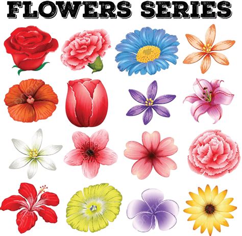 Kinds Of Flowers Drawing New Floral Vector Art Design Stock Vector