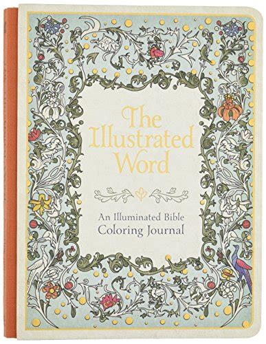 The Illustrated Word By Museum Of The Bible Books World Of Books Us