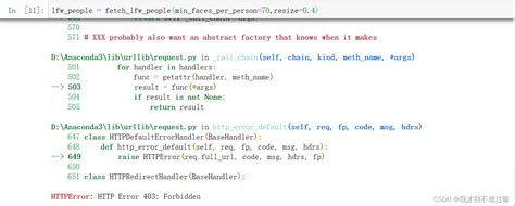 调用 from sklearn datasets import fetch lfw people 出现error 403错误 lfw人脸数据集下载报错 csdn博客