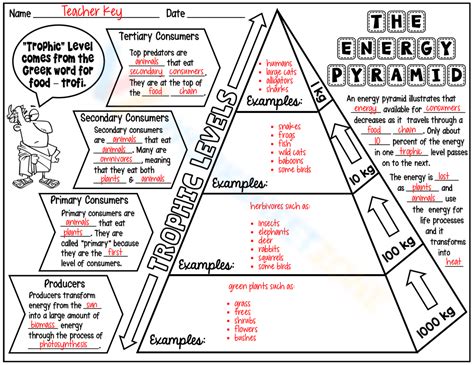 Energy Pyramid Template