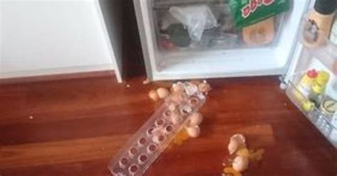 Its No Use Crying Over Spilt Milk What If Its Eggs Album On Imgur