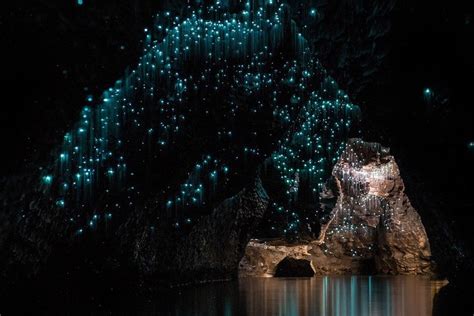 Tripadvisor Waitomo Glühwürmchenhöhlen Kleine Gruppe Von 4 5 Personen Zur Verfügung Gestellt