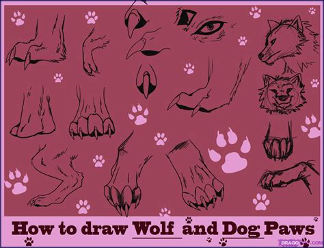 Realistic Wolf Drawing Tutorial At Getdrawings Free Download