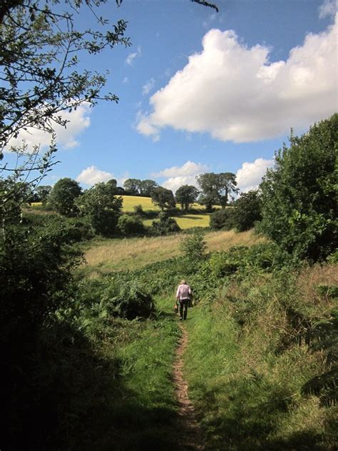 Path Cockington Valley © Derek Harper Geograph Britain And Ireland