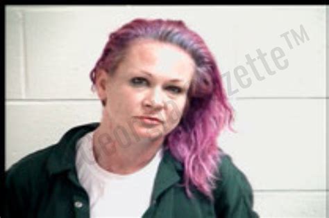 Kristine Eisele — Henry County Jail Bookings