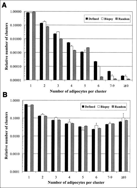 Adipocyte Spatial Distributions In Bone Marrow Implications For