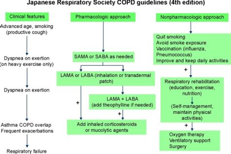 Algorithm Of Management Of Stable Copd In Japannotes Open I