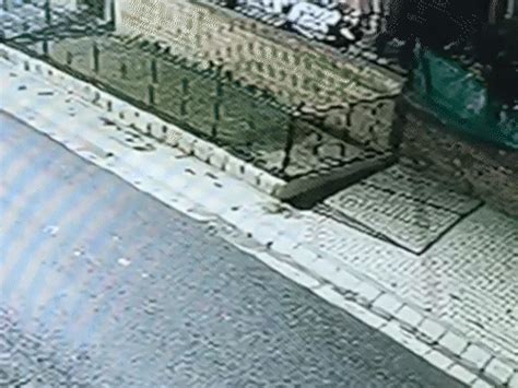 Punjabi Music Producer Pinky Dhaliwal Mohali House Firing Case Gangster