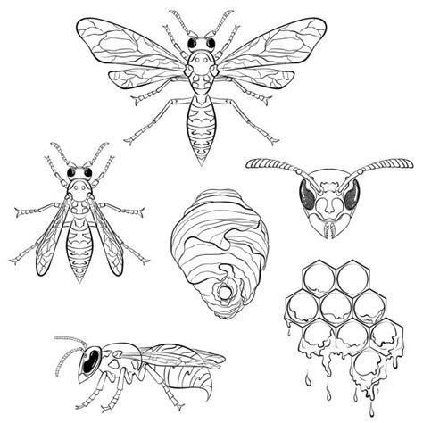 560 Hornets Nest Drawing Stock Illustrations Royalty Free Vector