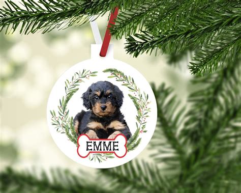 Cavapoo Ornaments Personalized Cavapoo Ornament Black And Brown