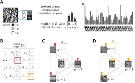 Figures And Data In Efficient Coding Of Natural Scene Statistics Predicts Discrimination