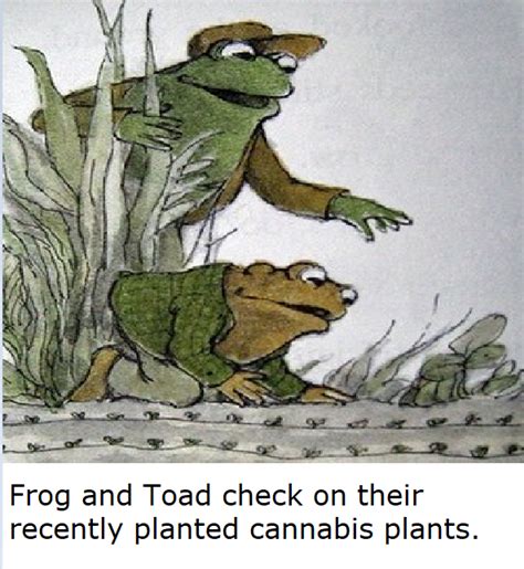 Frog And Toad Memes