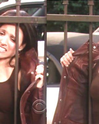 Julia Louis Dreyfus Fake Porn Pictures Xxx Photos Sex Images Pictoa