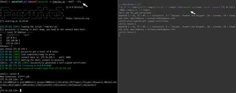 Poc Python 脚本编写步骤 Pocsuite3