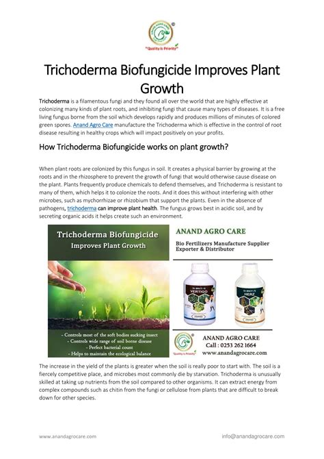 Ppt Trichoderma Biofungicide Improves Plant Growth Powerpoint