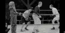 Funny Boxing S Tenor