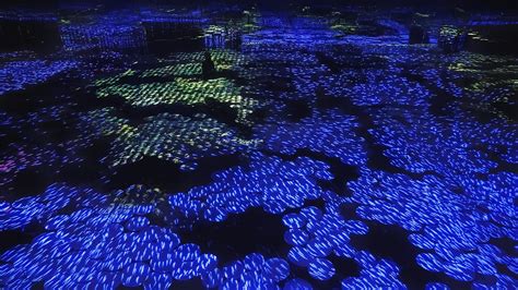 The Way Of The Sea Memory Of Topography Colors Of Life Teamlab