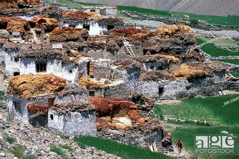Tetha Village Zanskar Ladakh Jammu And Kashmir North India India Himalayas Asia Stock