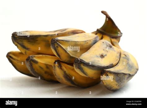 Cardava Banana Also Known As Saba Banana Isolated On White Background