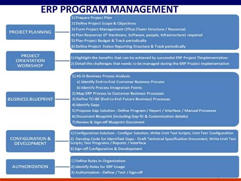 erp program management ppt
