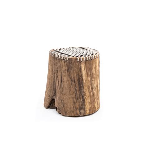Hollow Teak Stump From The Source