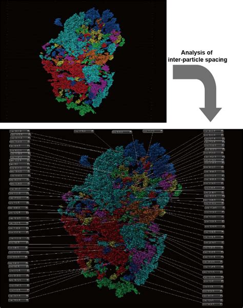 Figure S11 Aanalysis Of Atomic Scale Spacing Distances On The 3d Model