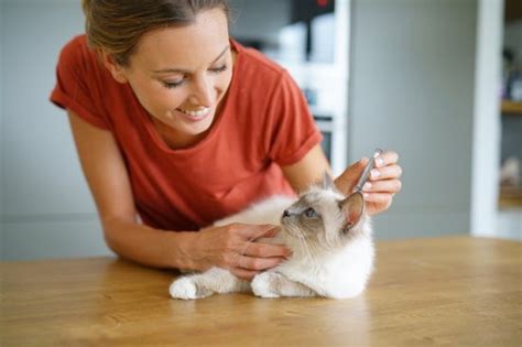 Flamingo Vandy Tekenverwijderaar Katten Tekenverwijderaar Comfort