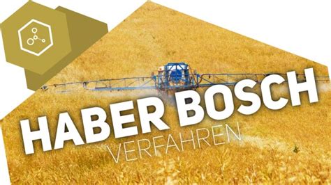 Haber Bosch Verfahren Einfach Erklärt Simpleclub