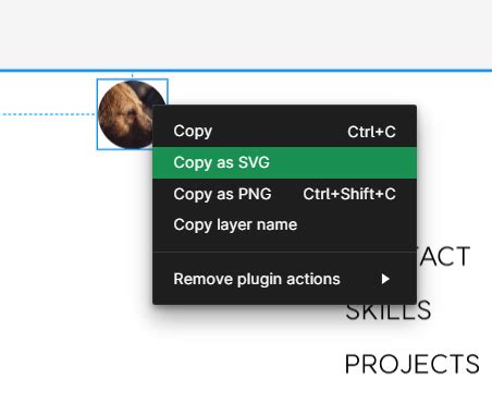 figma VSCode 개발자 도구