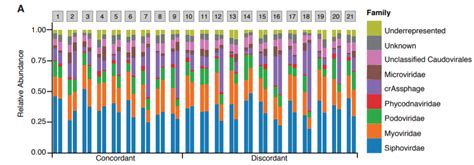 Human Microbiome Patterns The Virome The Ley Lab