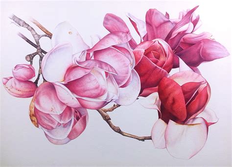World Of Arts Botanical Arts Myrokan