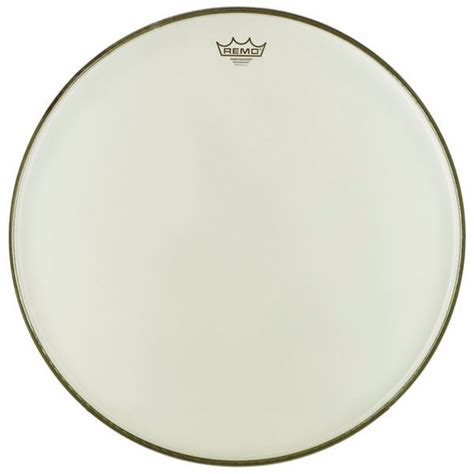 Remo 22 Renaissance Ambassador Bd Thomann France
