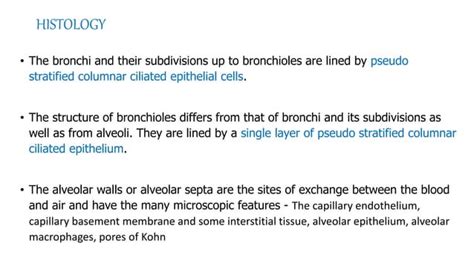 Paediatric Lung Disease Pptx Lung And Respiratory Health Diseases And Conditions