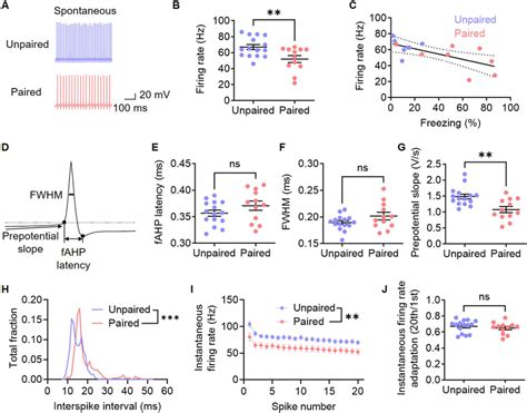 Interspike Interval Is Increased After Fear Conditioning A