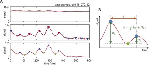 figures and data in persistence period and precision of autonomous