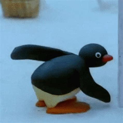 Pingu  Pingu Discover And Share S